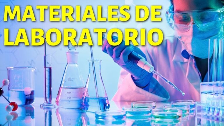 ¿Cuáles son los Elementos de Laboratorio y su Función? Guía Completa ...
