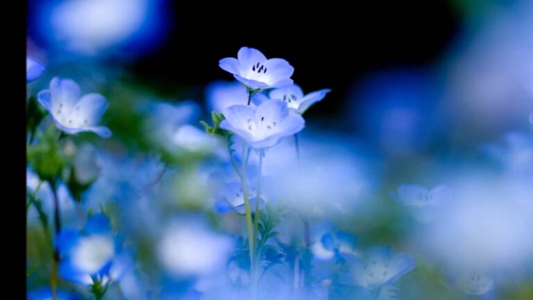 Gracias Por Enseñarme Con El Corazón La Importancia De La Educación