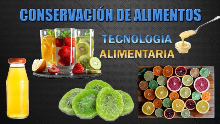 Descubre Cuáles Son los Métodos de Conservación Más Efectivos para Alimentos y Productos ...
