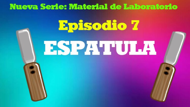 ¿Para qué sirve la espátula en el laboratorio? Funciones y usos ...